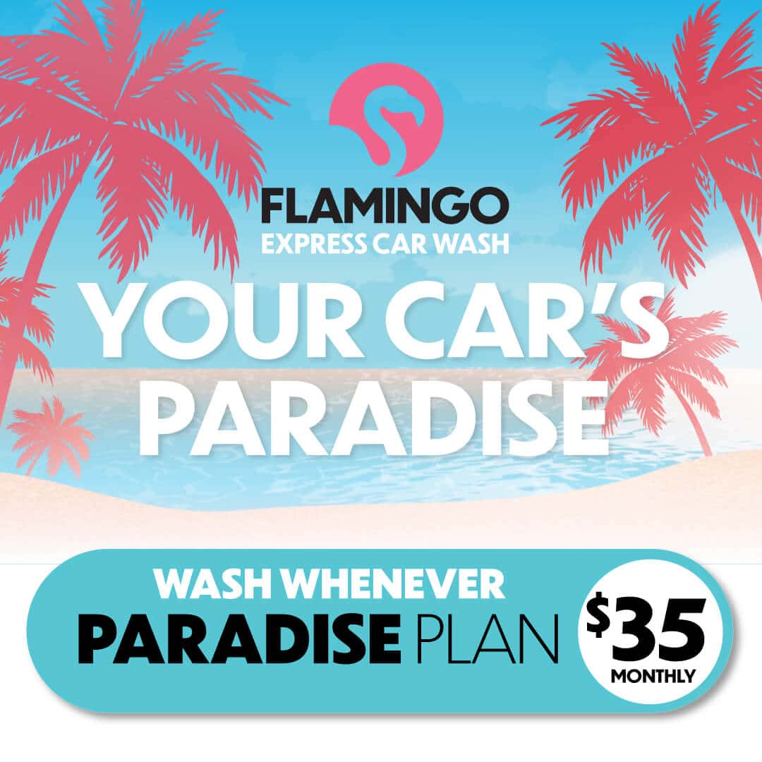 Car Wash Graphics & Graphic Design Services - Wash Brands